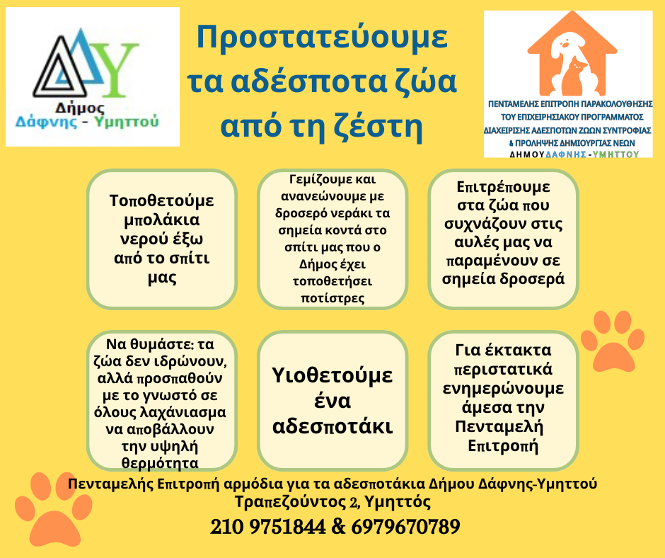 Προστατεύουμε τα αδέσποτα ζώα από τη ζέστη - Δήμος Δάφνης - Υμηττού